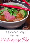 Quick and Easy Vietnamese Pho